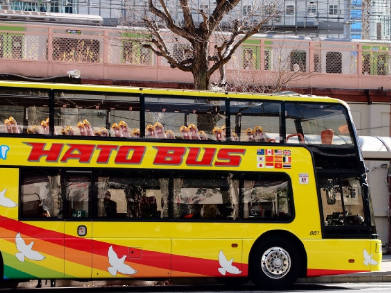 ZIP【はとバスツアー！世界のバイキングと東京湾クルーズ・リラックマとおでかけごゆるりとはとバスツアーなど】